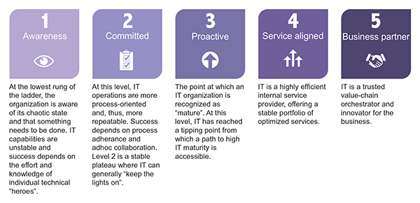 IT Maturity Matters Because IT Matters