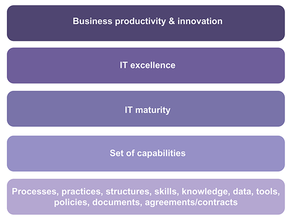 IT Maturity Matters Because IT Matters